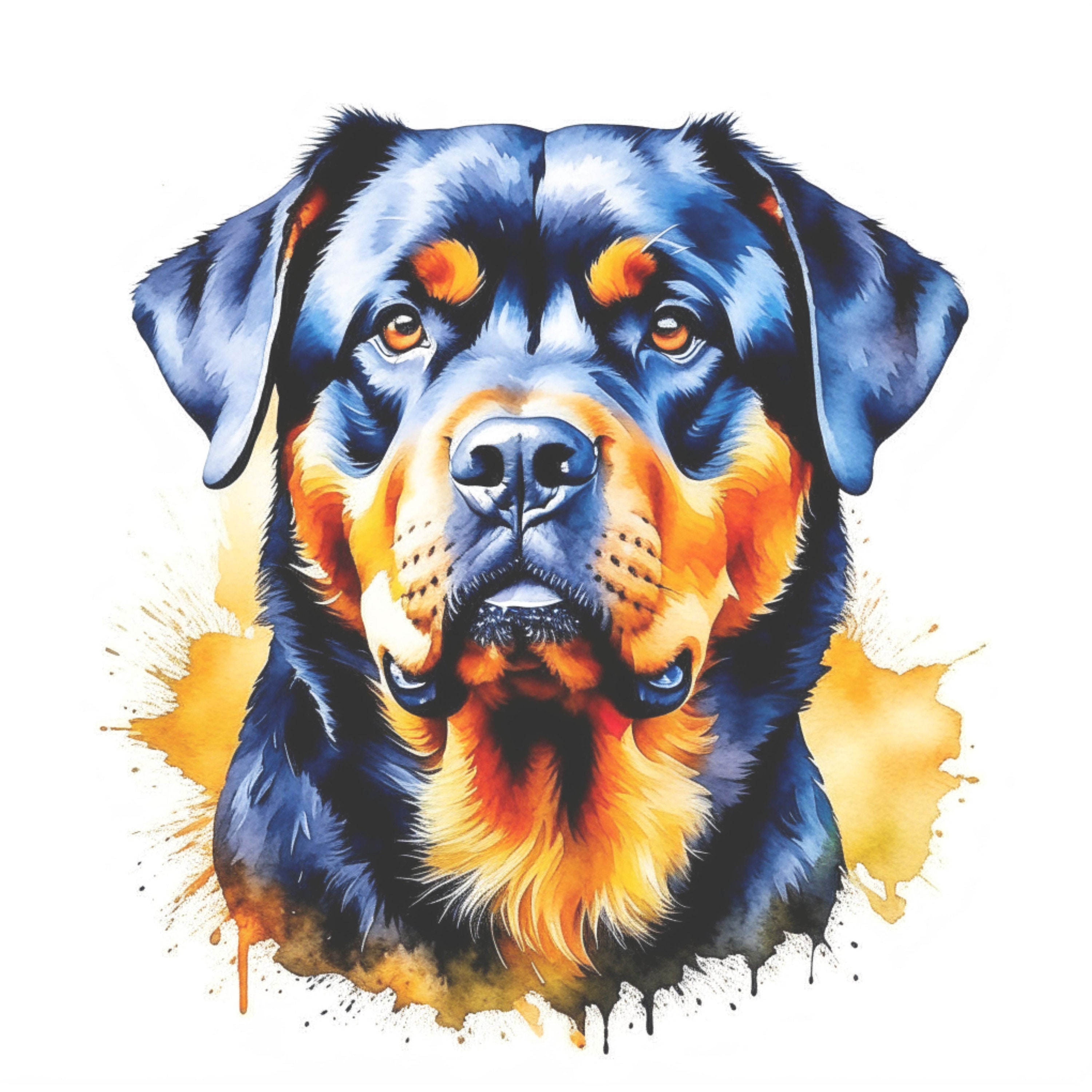 Rottweiler Dog Digital Art Dogs Clipart 10 High Quality Jpgs Digital ...