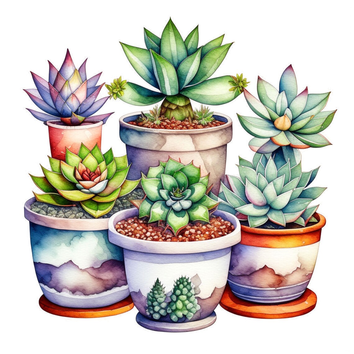 Succulents Digital Art | Clipart | 10 High Quality Jpgs | Digital ...