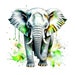 Baby Elephant Digital Art | Elephants Clipart | 15 High Quality Jpgs ...