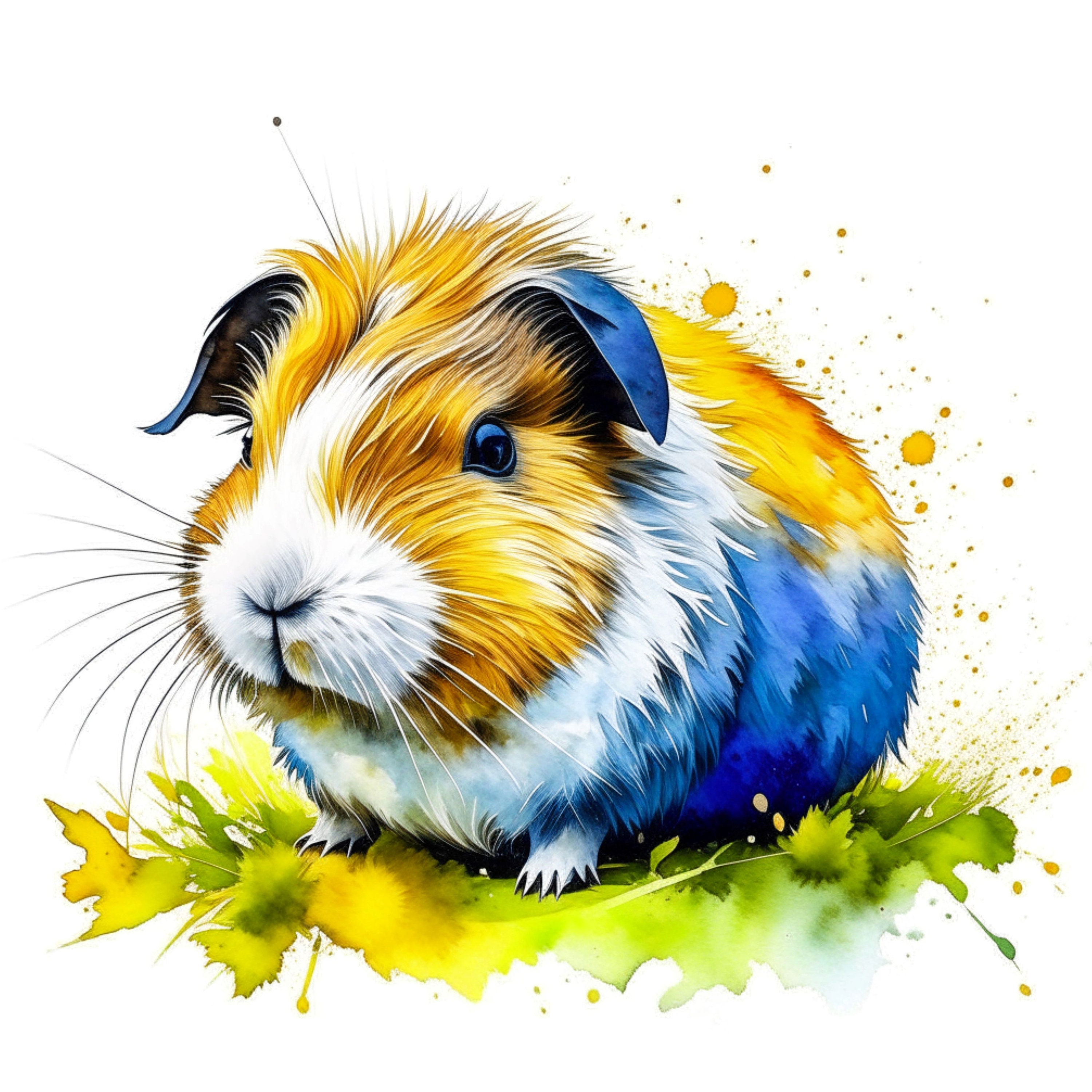 Guinea Pig Digital Art | Guinea Pigs Clipart | 15 High Quality Jpgs ...