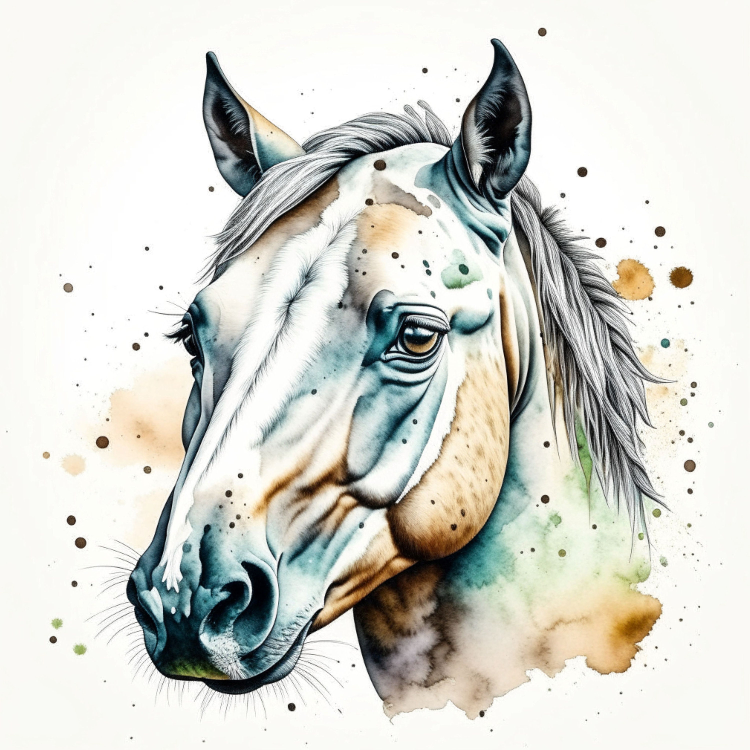 Appaloosa Horse Digital Art Horse Clipart 15 High Quality Jpgs Digital ...