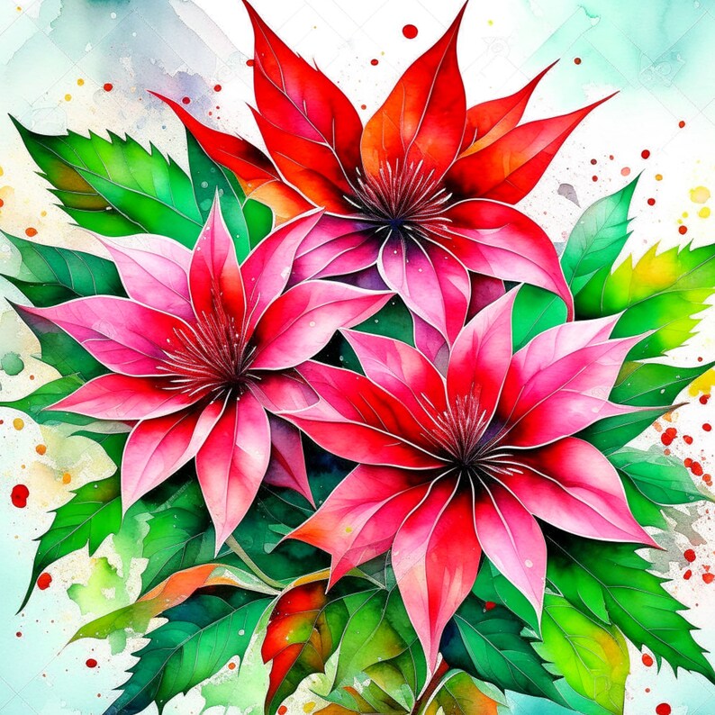 Poinsettia Digital Art | Flower Clipart | 10 High Quality Jpgs ...