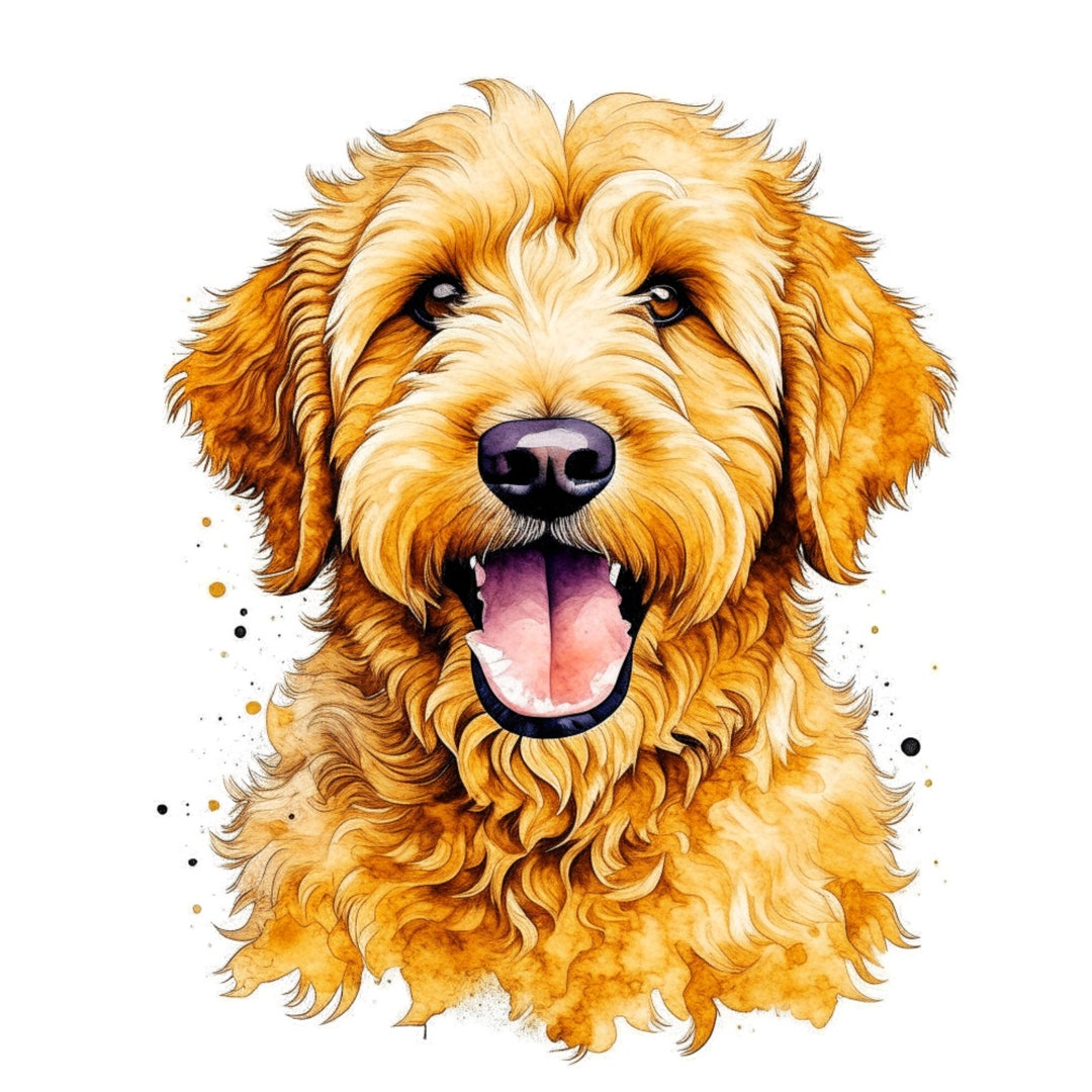Goldendoodle Dog Digital Art | Dogs Clipart | 10 High Quality Jpgs ...