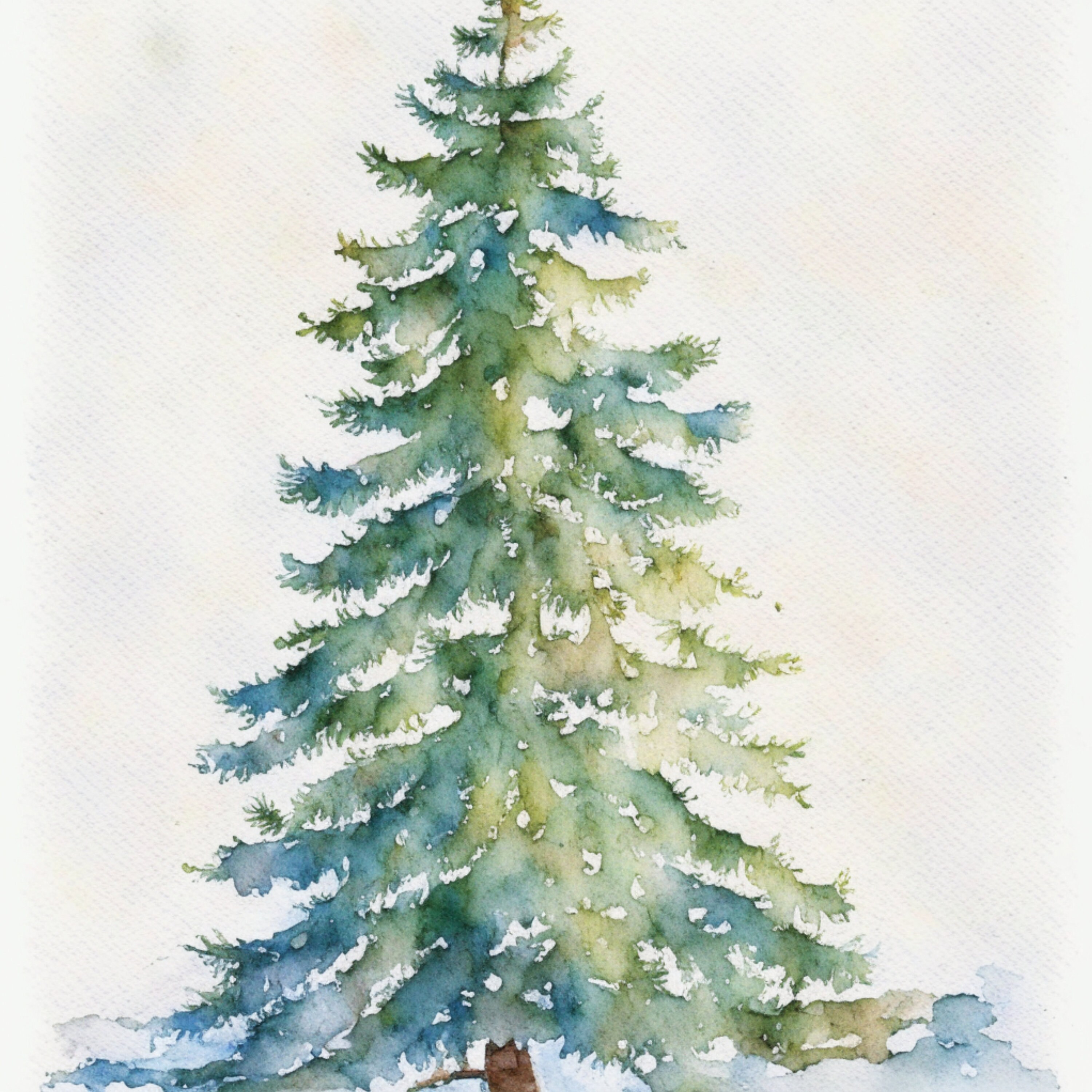 Evergreen Trees in the Woods Digital Art | Clipart | 10 High Quality ...