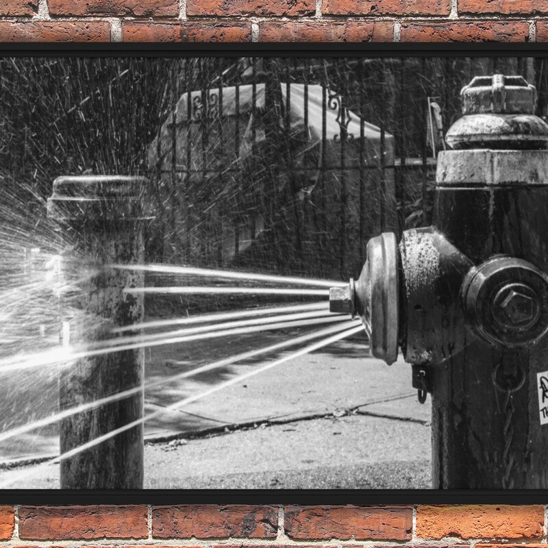 Antique Hydrant Art - Etsy