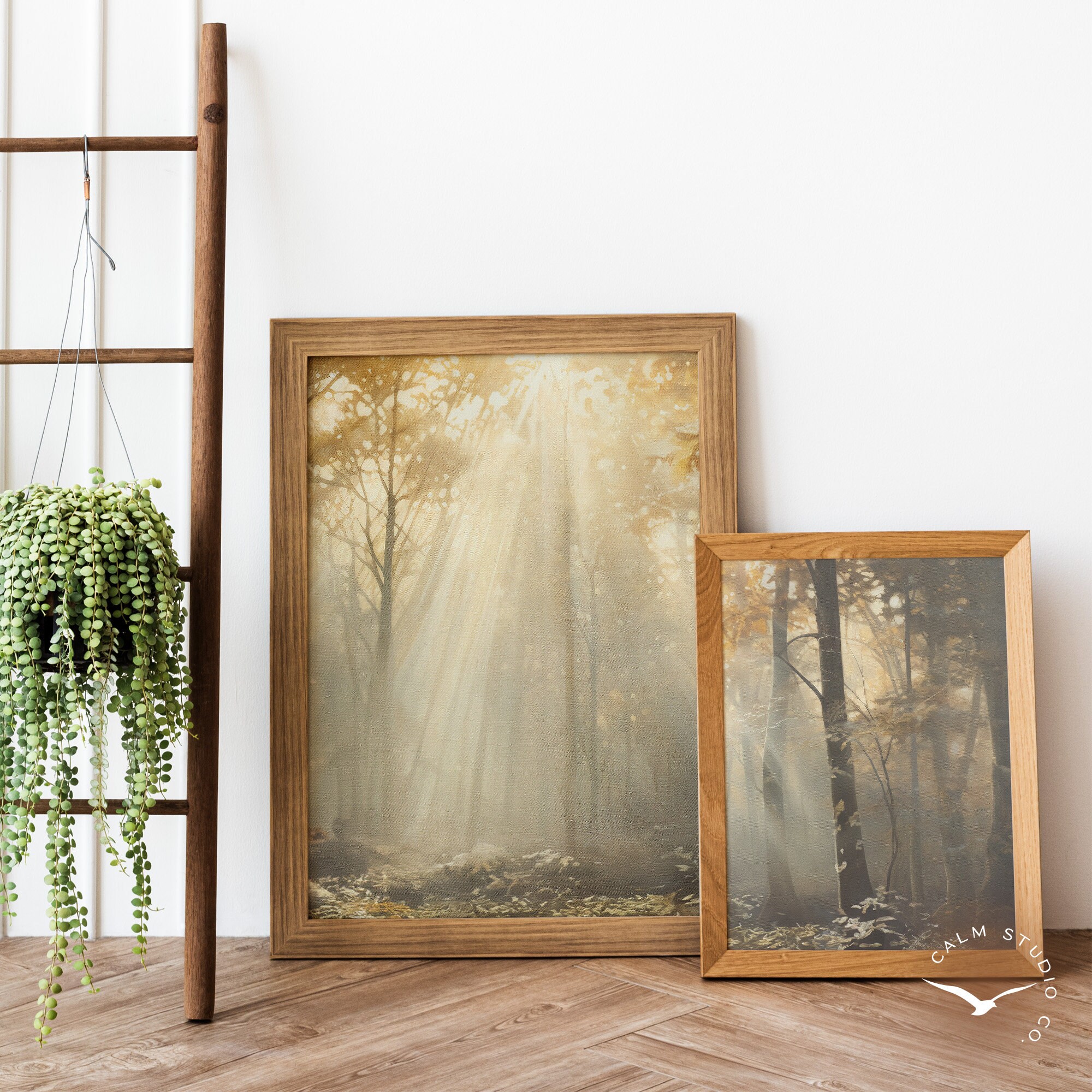 Sunshine Nature Woodsy Sunlit Trees PRINTABLE Wall Decor Aesthetic ...