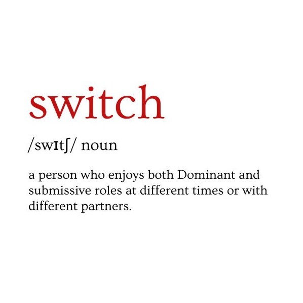 Switch Definition Posters | Instant Printable Download | Kinky Wall Art ...