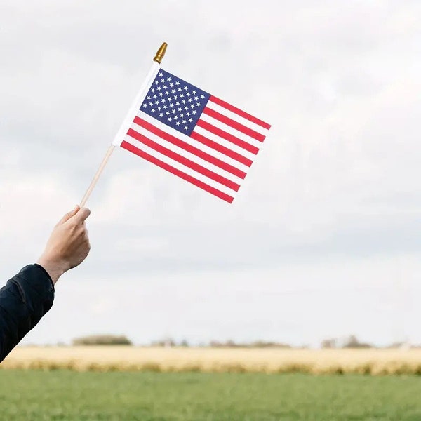 Mini Flags on Stick - Etsy