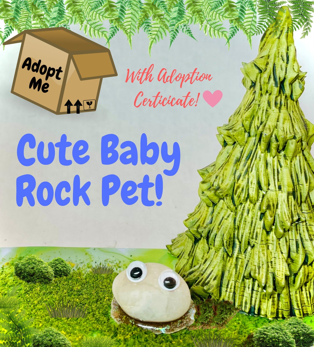 Adorable Baby Rock Pet With Adoption Certificate! Makes a Cute Desk Pet ...