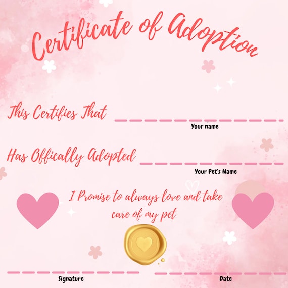 Pet Rock Certificate