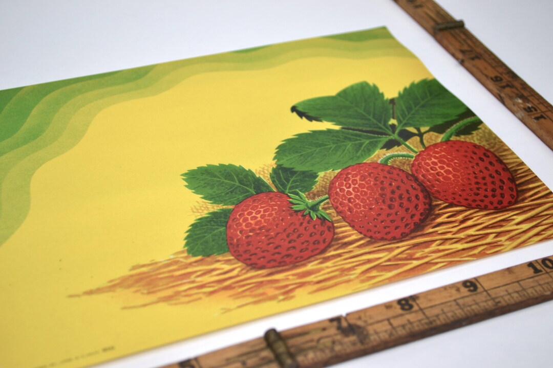 Vintage Crate Label Blanks - 1940's Louis Roesch Co - NOS - Vintage ...