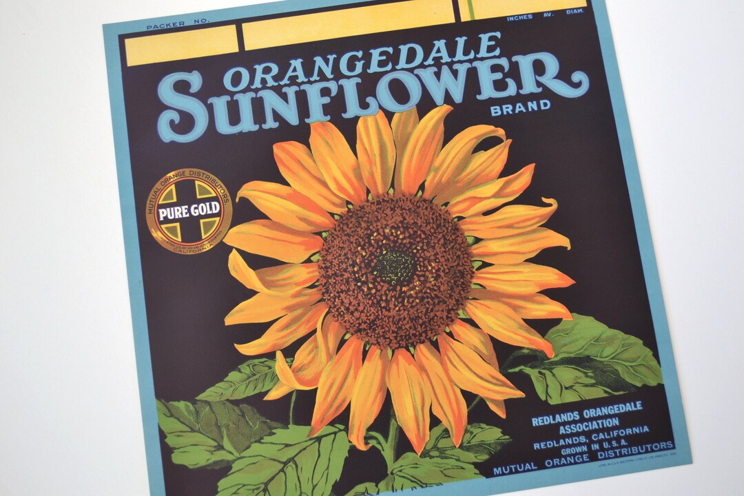 Large Vintage Sunflower Crate Label - 1930's Western Litho Co - NOS - Orangedale Sunflower Brand ...