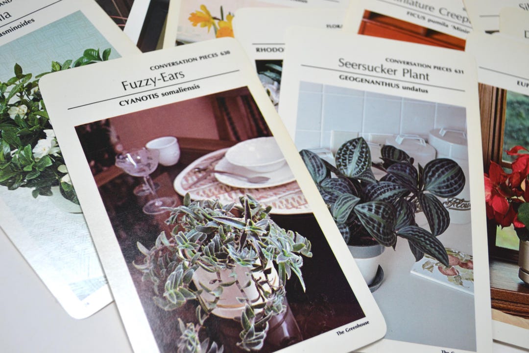 Set of 25 - Vintage Plant Identification Cards - the Greenhouse Cards ...