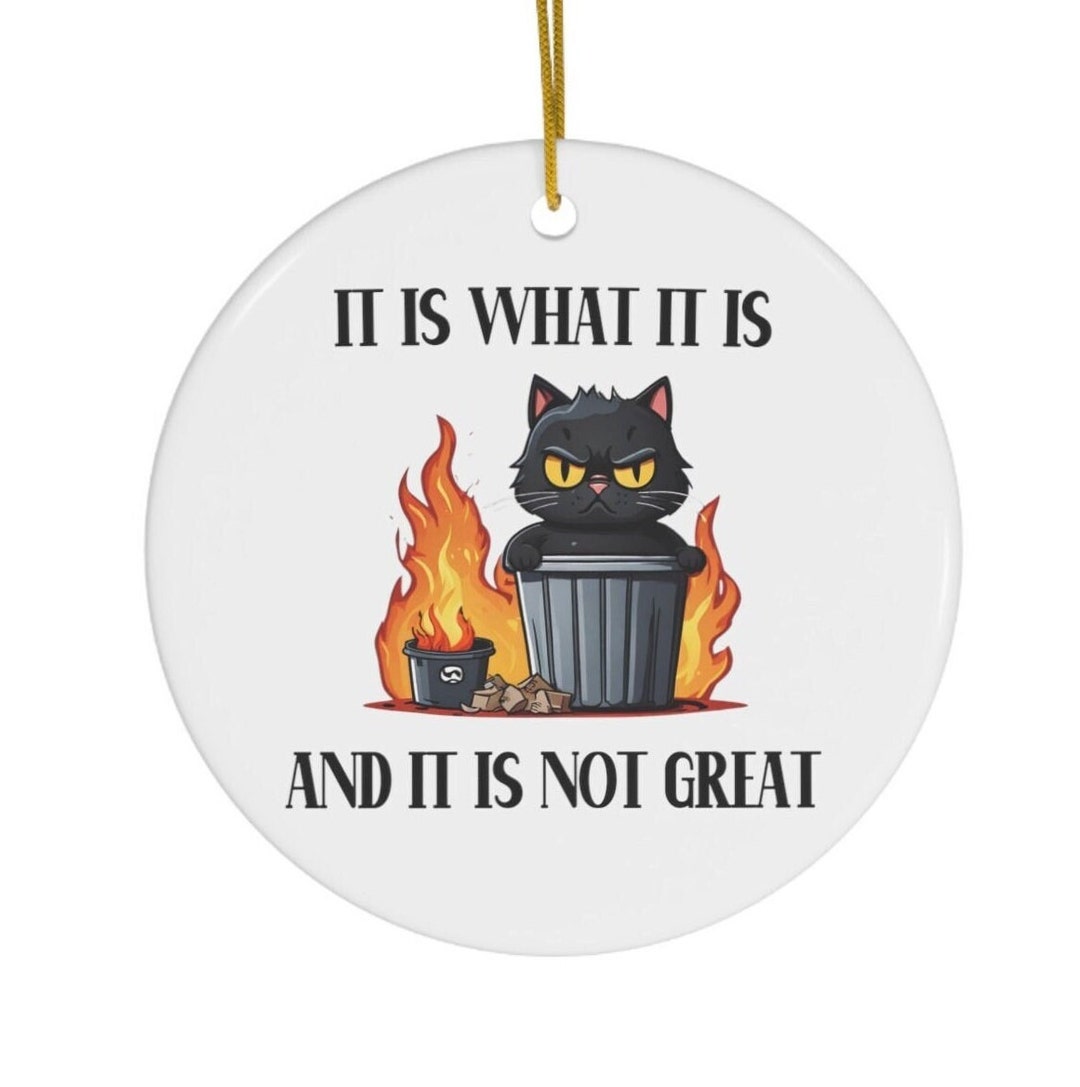 It is What It is and It's Not Great Grumpy Cat Ornament, Cute Weird ...