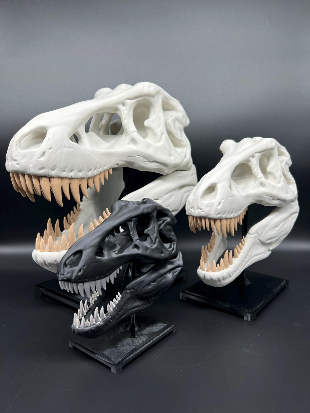 Tyrannosaurus Rex Skull Replica: Paleontology Decor - Etsy