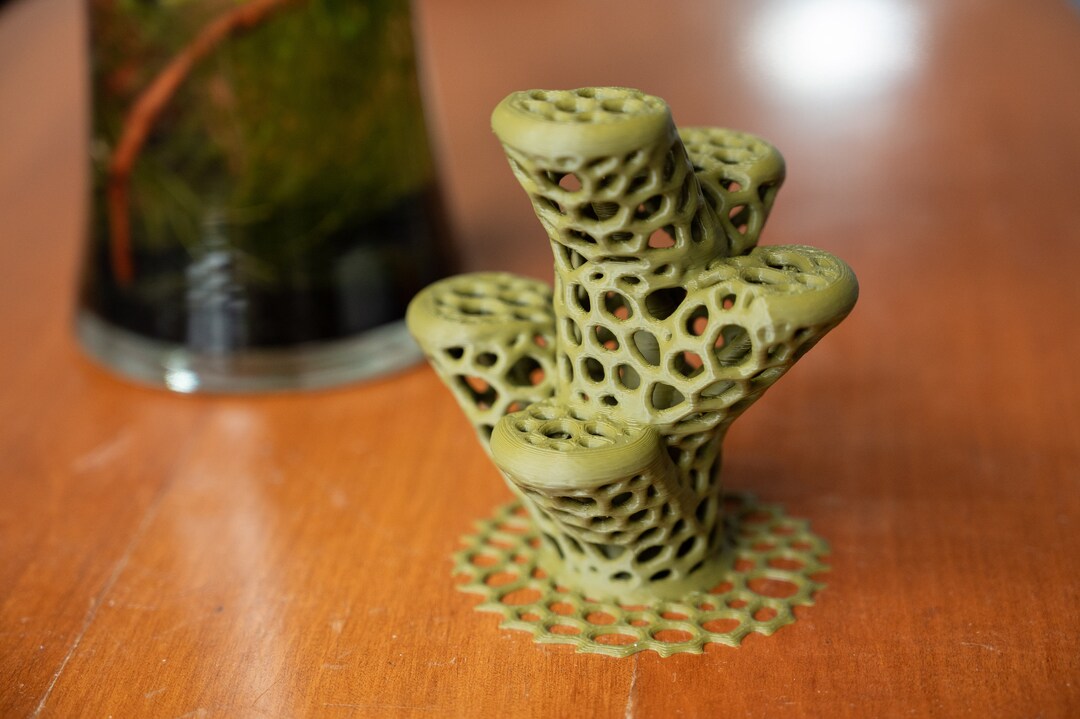 Aquarium Shrimp and Fish Hide/decoration (updated) - Etsy