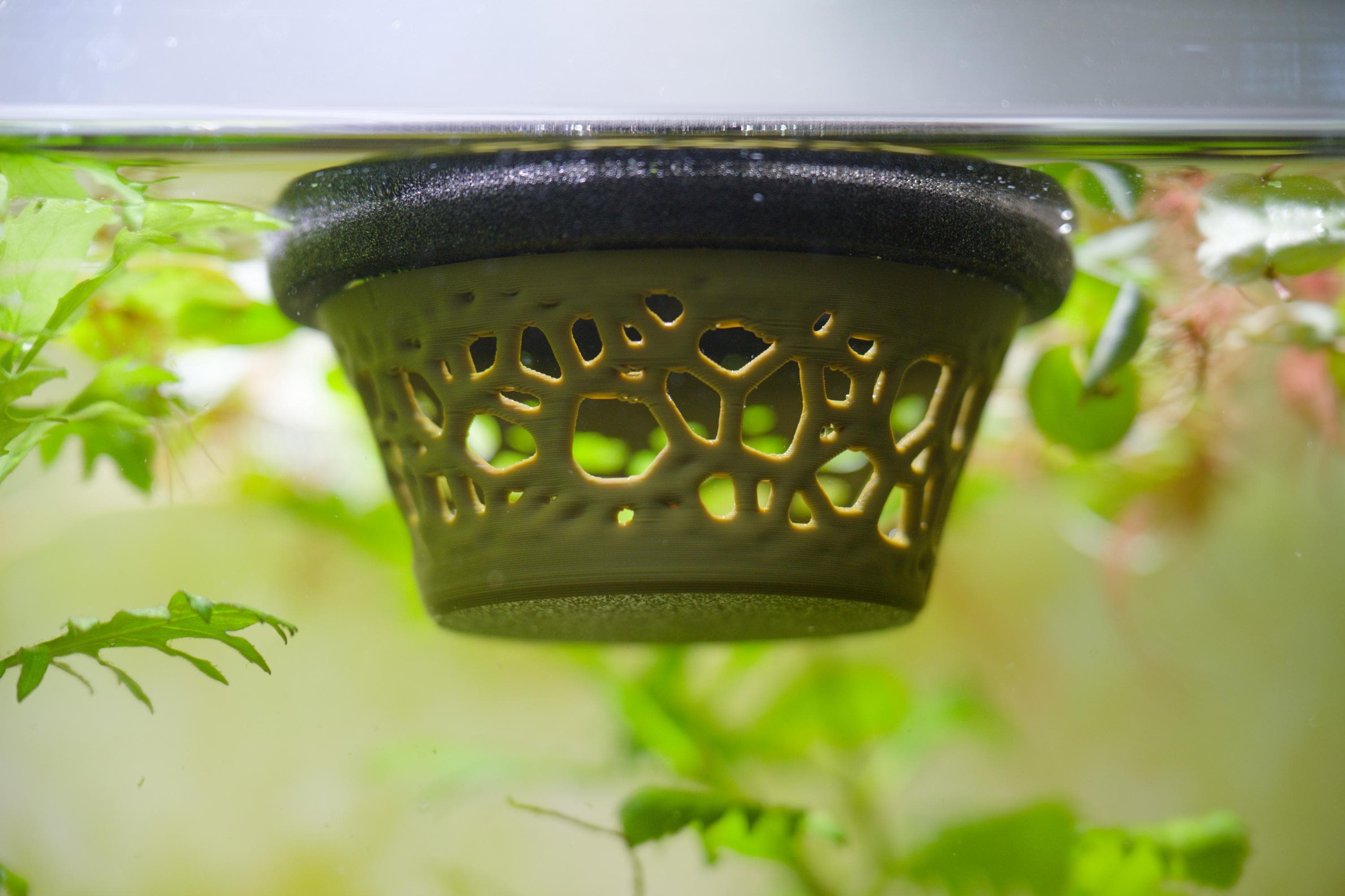 Floating Shrimp Platform - Etsy