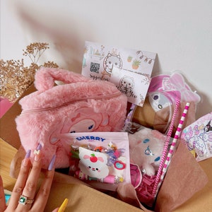 Kawaii Cute Stationary Plush Toy Mystery Surprise Box, Personalized ...