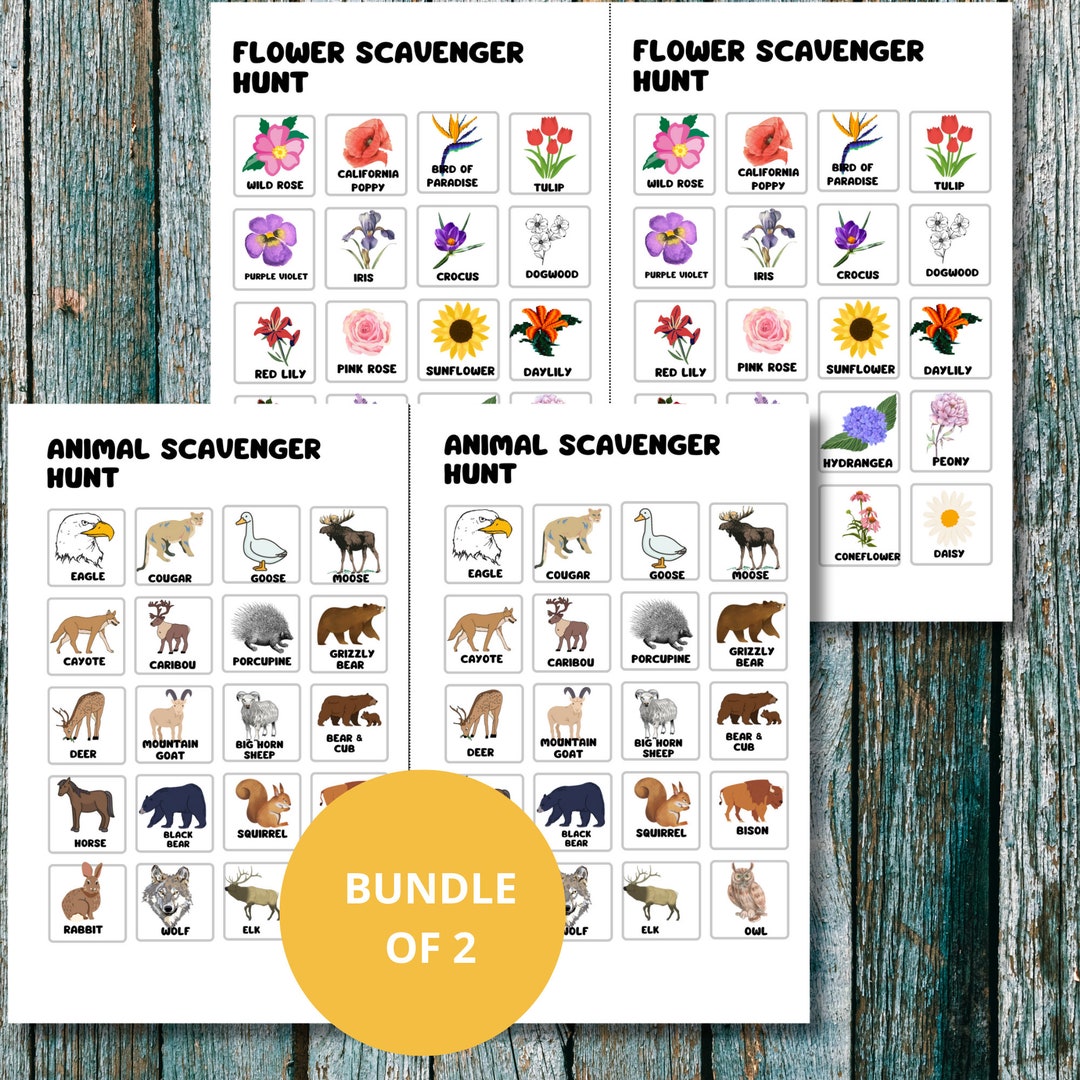 Summer Scavenger Hunt, Activity for Kids and Teens, Wildlife Scavenger ...