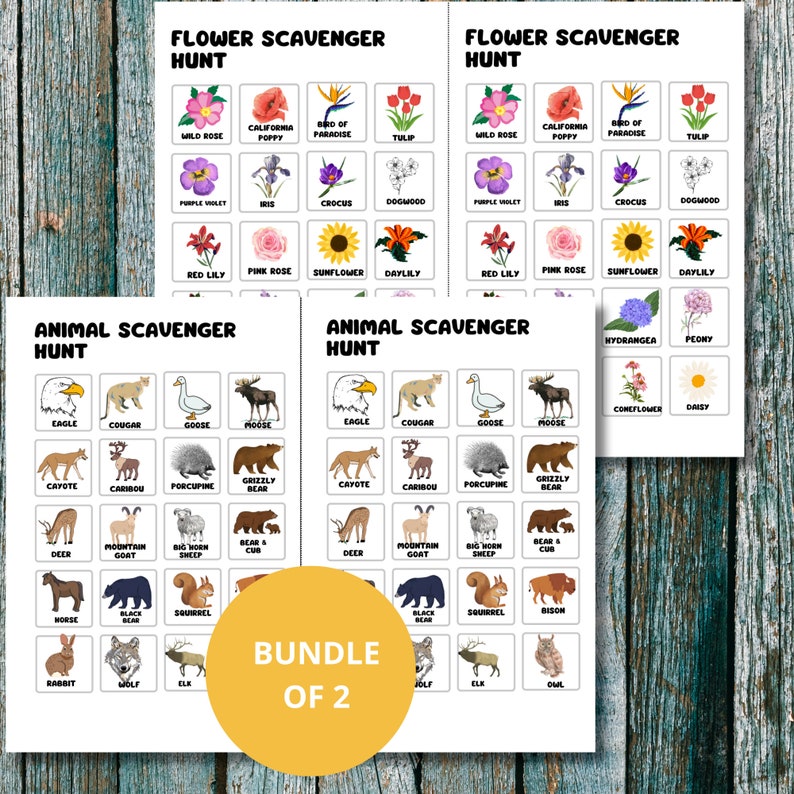 Summer Scavenger Hunt, Activity for Kids and Teens, Wildlife Scavenger ...