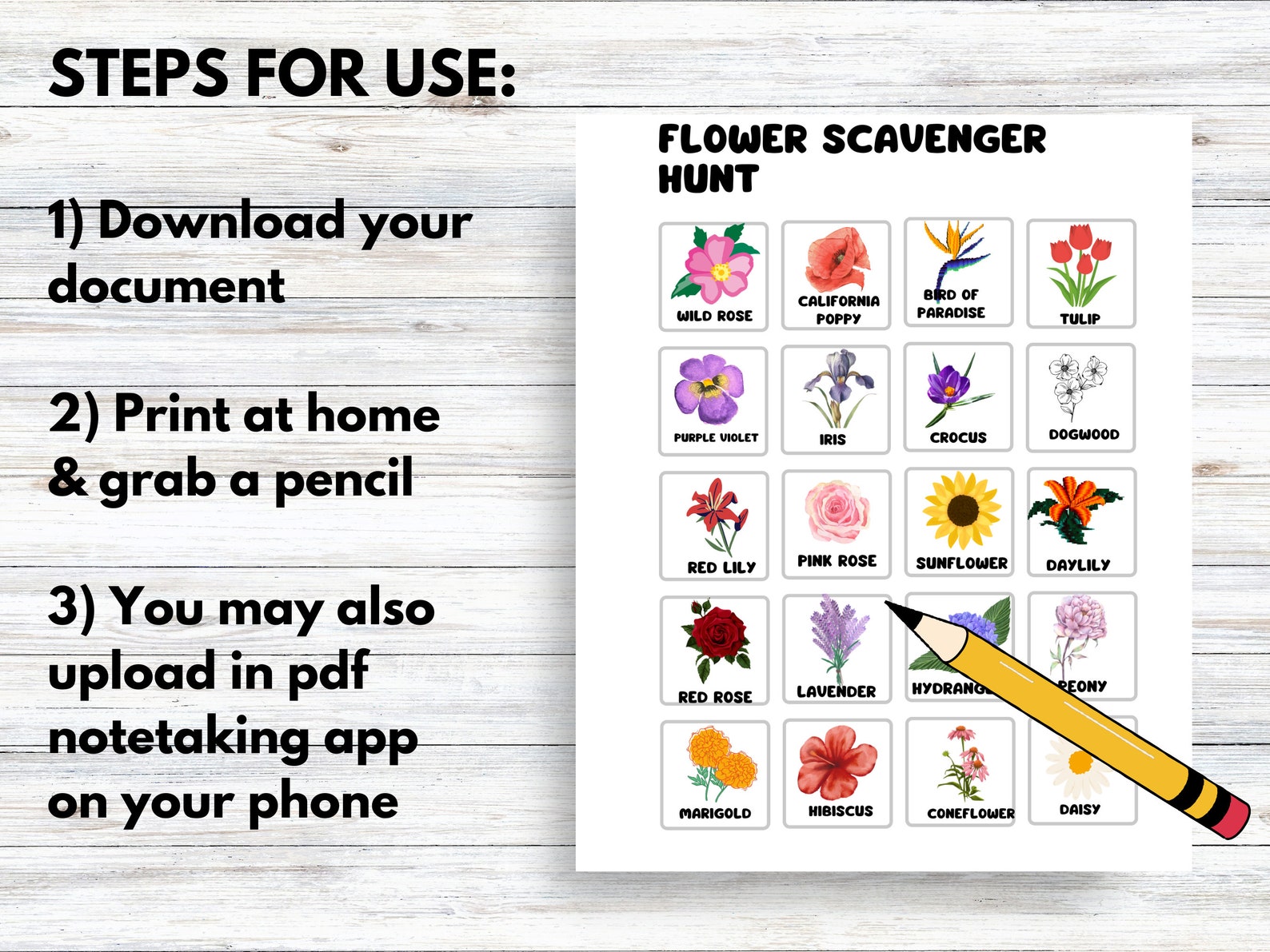 Flower Scavenger Hunt, Summer Game Kids & Teens, Walk Around the ...