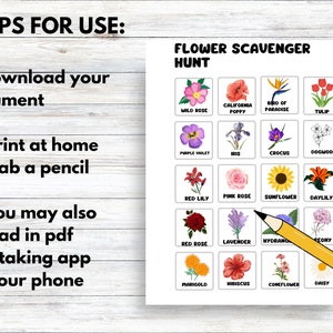 Flower Scavenger Hunt, Summer Game Kids & Teens, Walk Around the ...