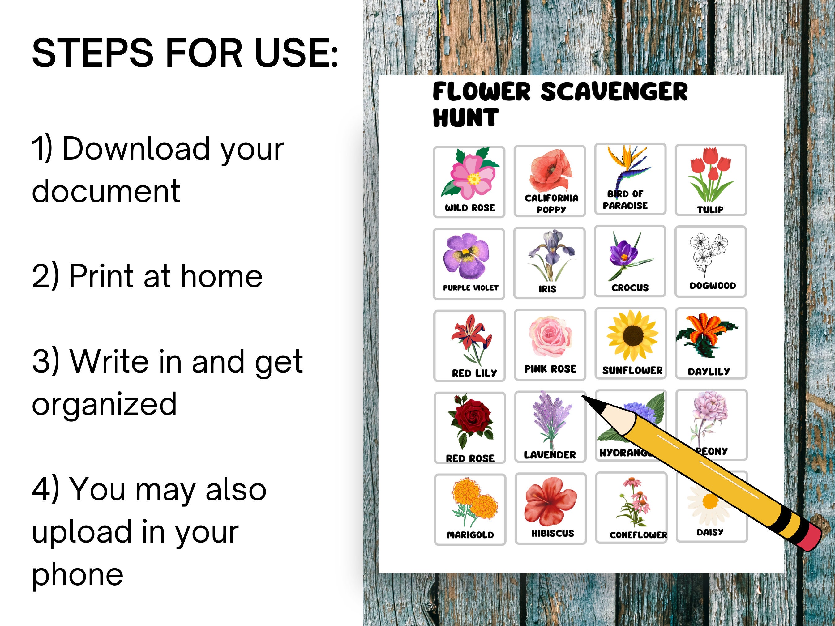 Flower Scavenger Hunt, Summer Game Kids & Teens, Walk Around the ...