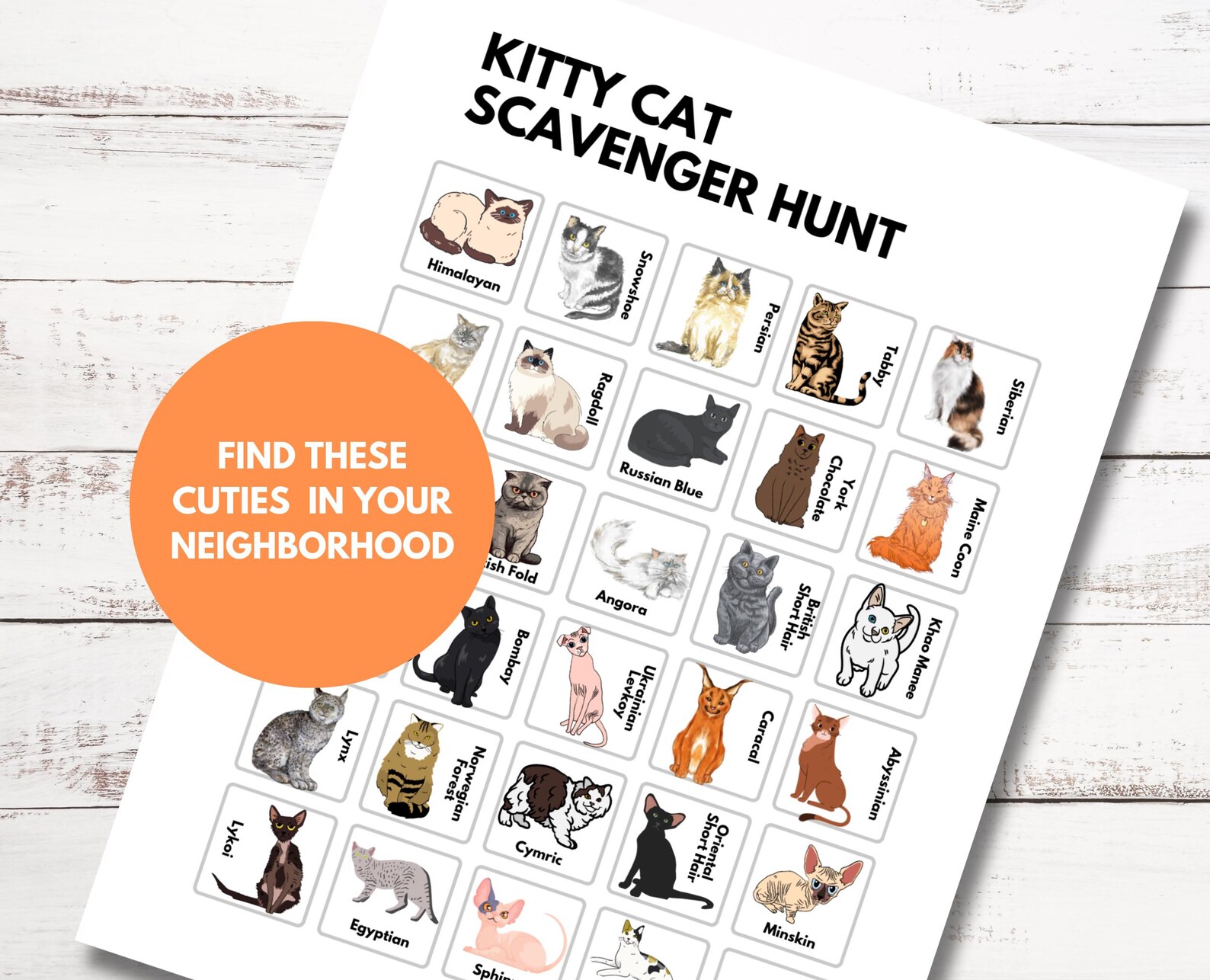 Printable Kitty Cat Breed Scavenger Hunt, Outdoor Scavenger Hunt ...