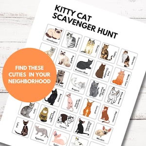 Printable Kitty Cat Breed Scavenger Hunt, Outdoor Scavenger Hunt ...