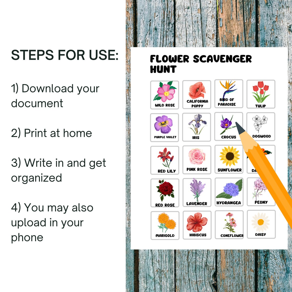 Summer Scavenger Hunt, Activity for Kids and Teens, Wildlife Scavenger ...