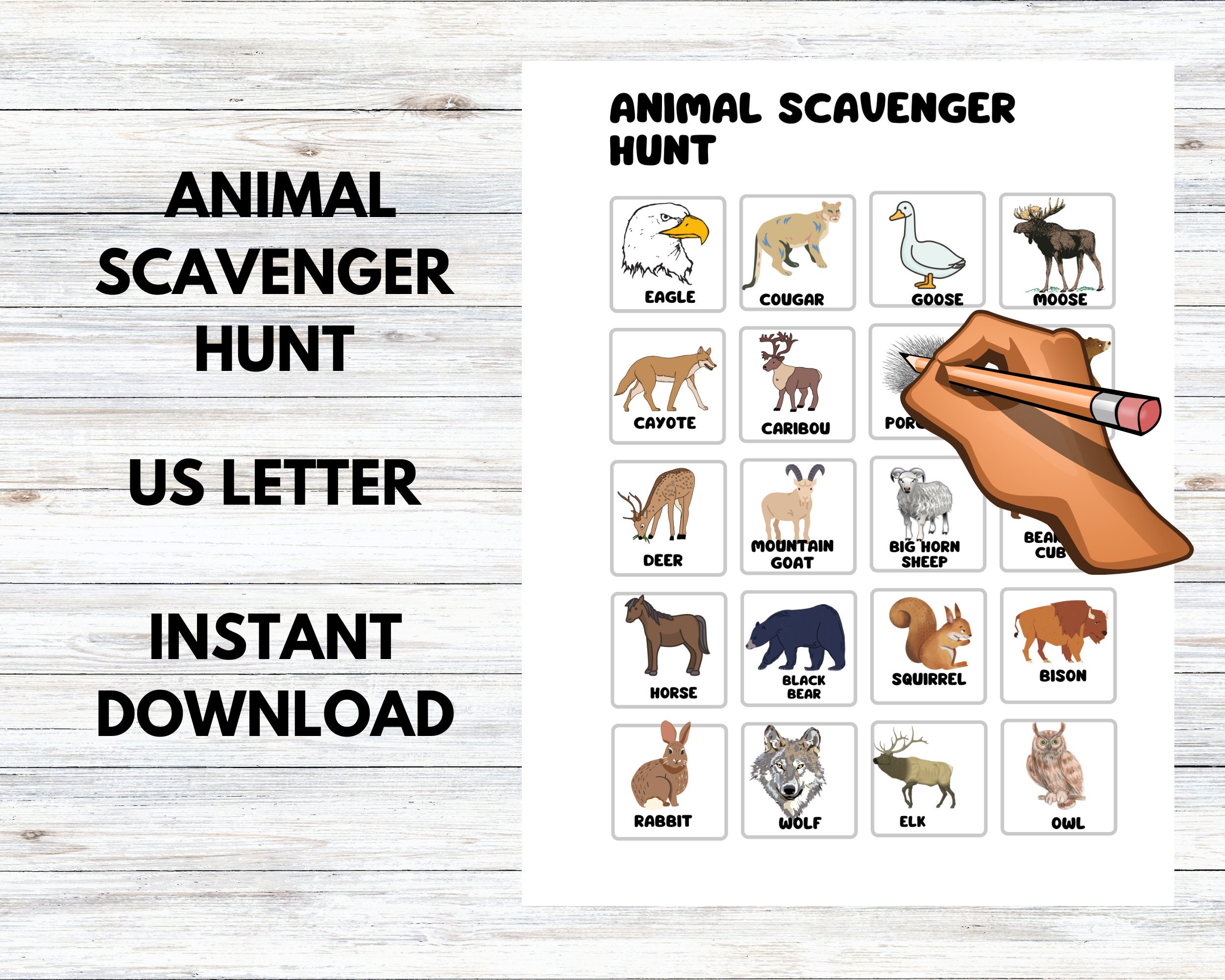 Wild Animal Scavenger Hunt, Mountain Animals, Wildlife Photography ...