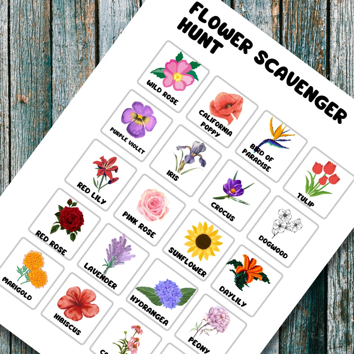 Flower Scavenger Hunt, Summer Game Kids & Teens, Walk Around the ...