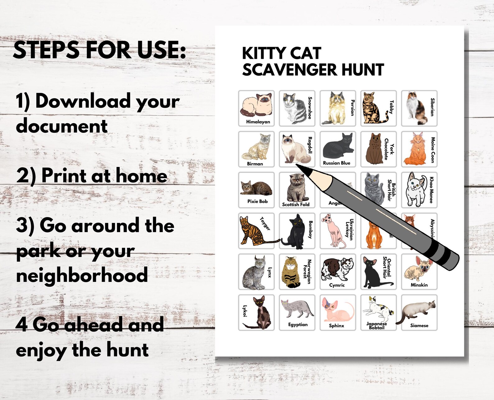 Printable Kitty Cat Breed Scavenger Hunt, Outdoor Scavenger Hunt ...