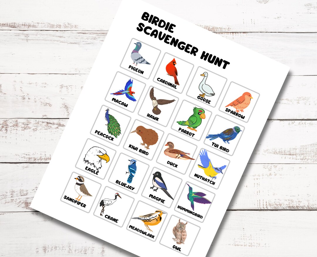 Bird Scavenger Hunt, Backyard Birds Printable for Kids and Adults ...