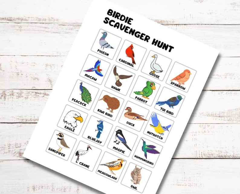 Bird Scavenger Hunt, Backyard Birds Printable for Kids and Adults ...