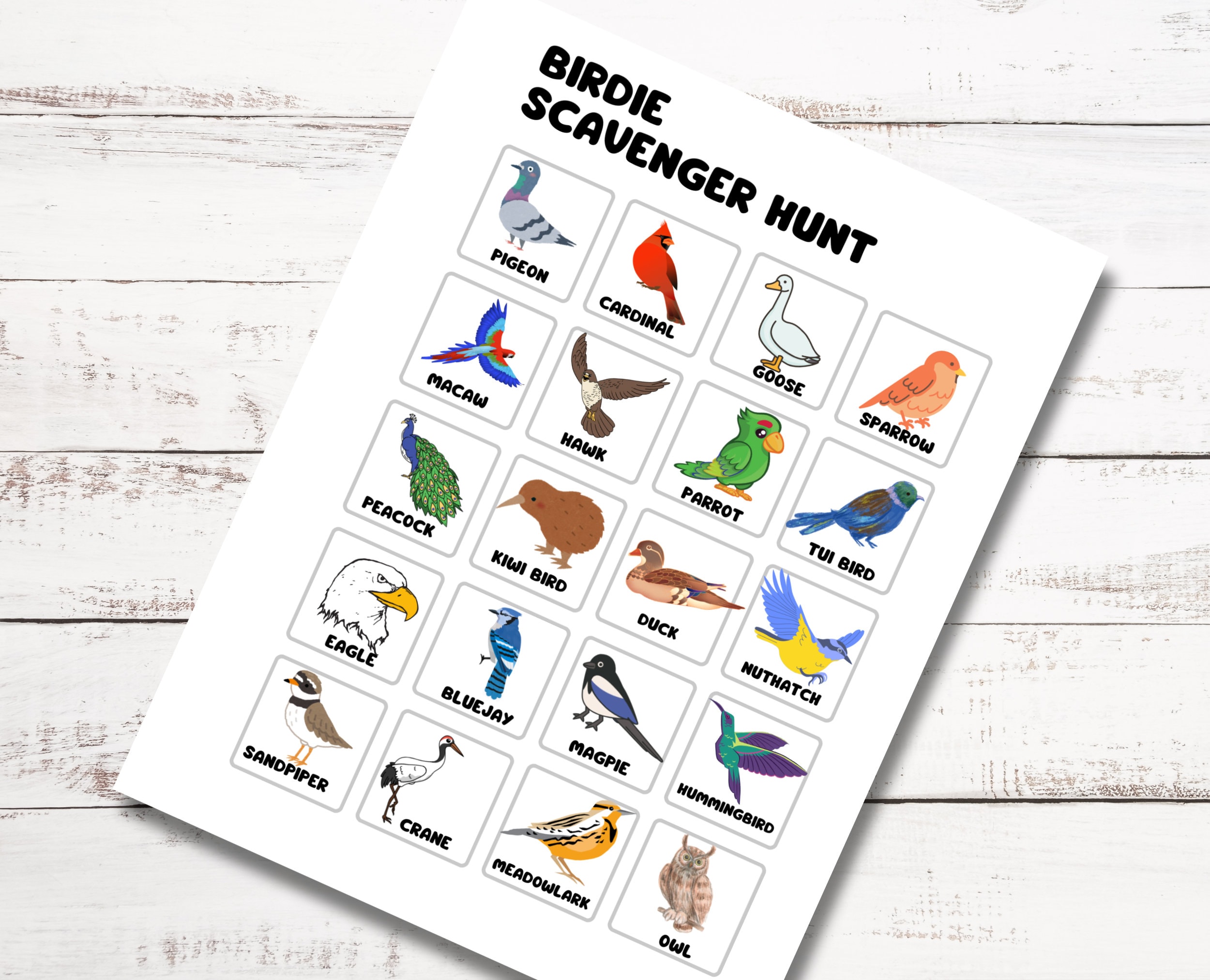 Bird Scavenger Hunt, Backyard Birds Printable for Kids and Adults ...
