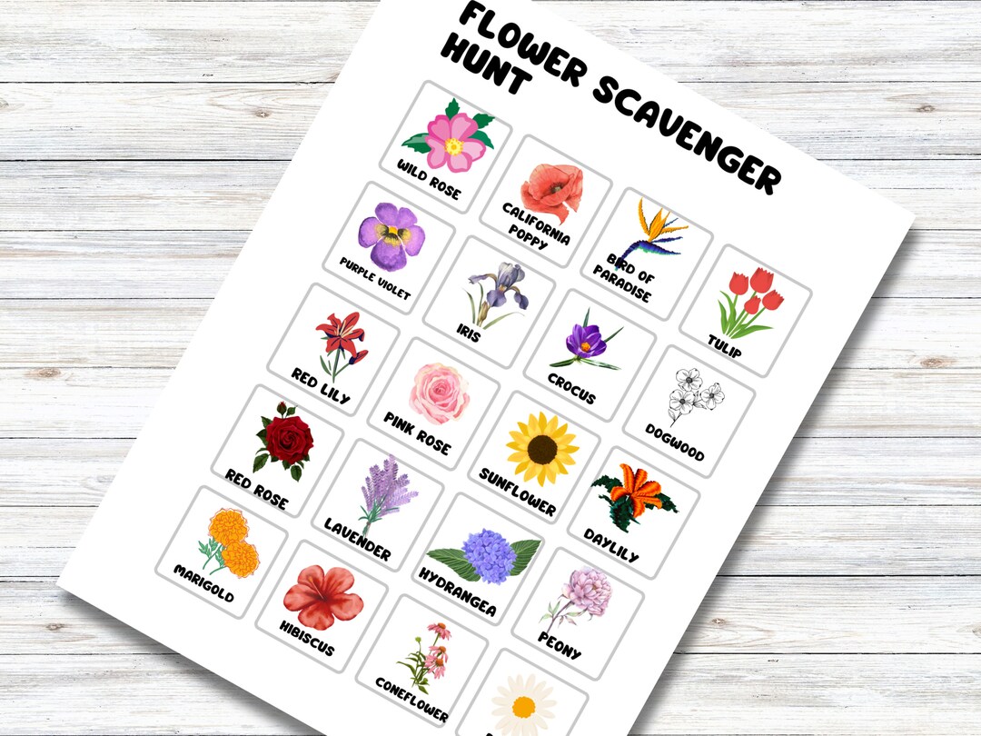 Flower Scavenger Hunt, Summer Game Kids & Teens, Walk Around the ...