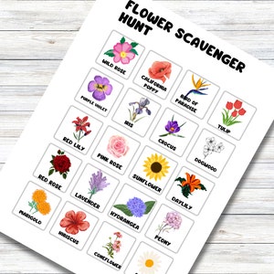 Flower Scavenger Hunt, Summer Game Kids & Teens, Walk Around the ...