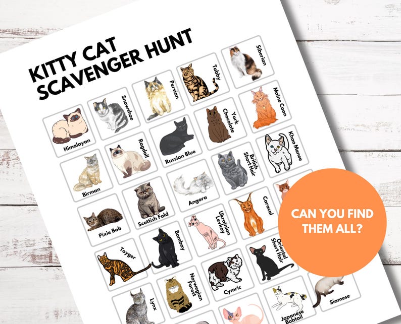 Printable Kitty Cat Breed Scavenger Hunt, Outdoor Scavenger Hunt ...