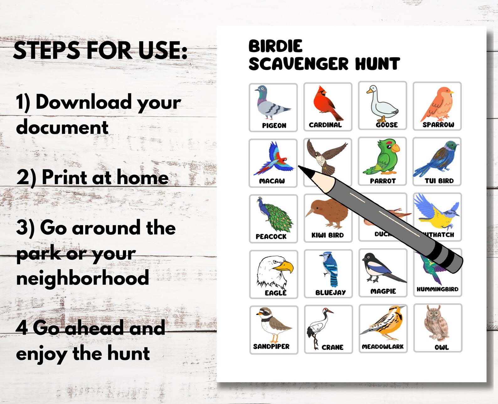 Bird Scavenger Hunt, Backyard Birds Printable for Kids and Adults ...