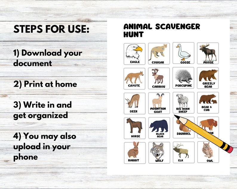 Wild Animal Scavenger Hunt, Mountain Animals, Wildlife Photography ...