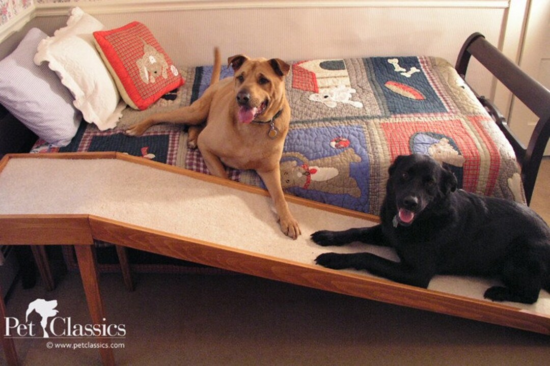 12 Wide, 22 Degree, Normal Slope Dog Ramp. Moderate Incline for Pets ...