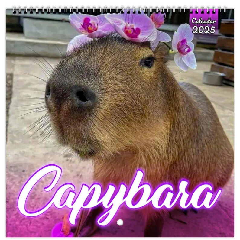 Capybara 2025 Calendar: Rustic Charm and Adorable Capybaras for Every ...