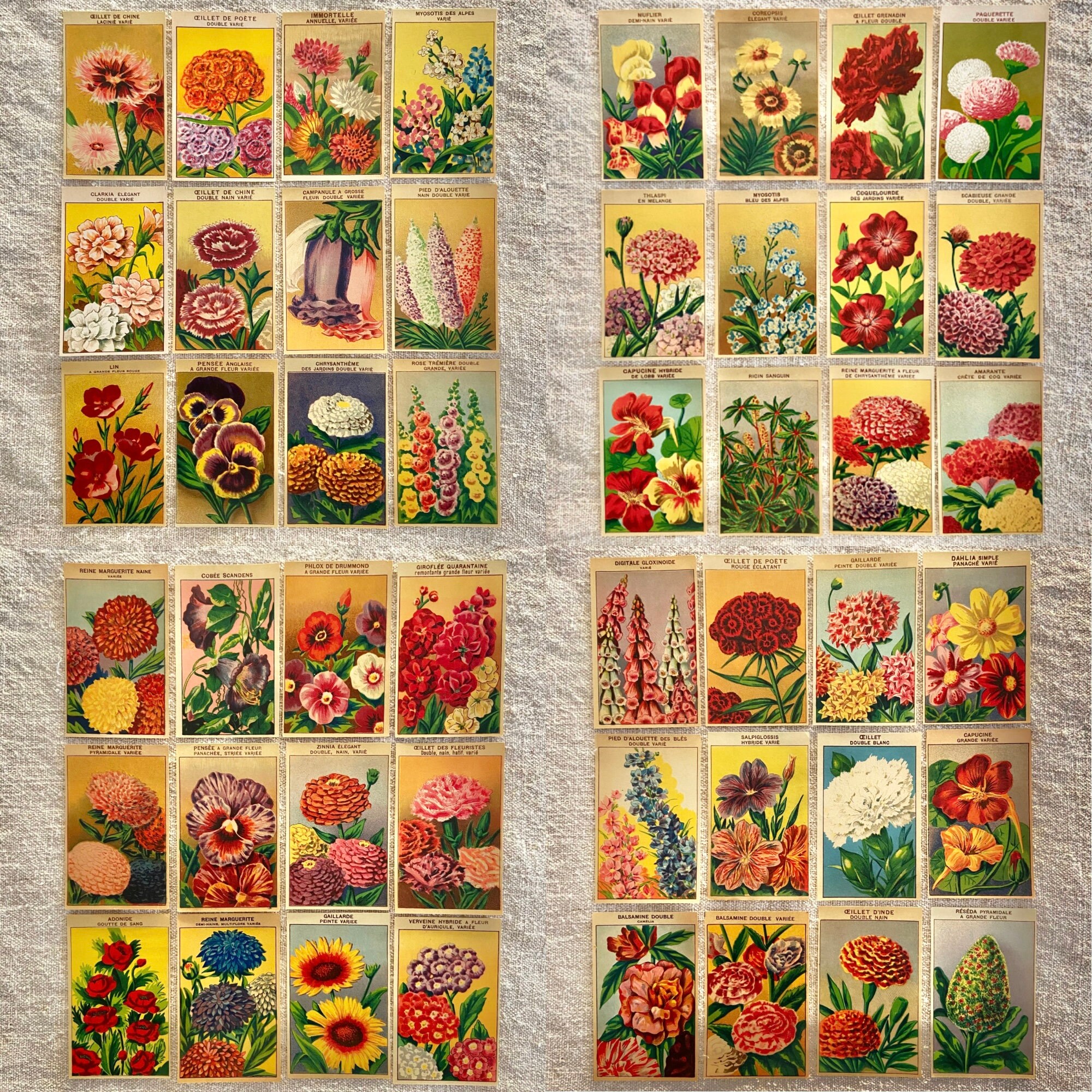 50 Vintage Flower Seed Packet Labels, French Botanical Illustrations ...