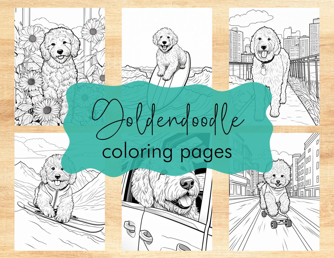 Goldendoodle Coloring Book Pages - Animal Coloring Pages for Adults ...