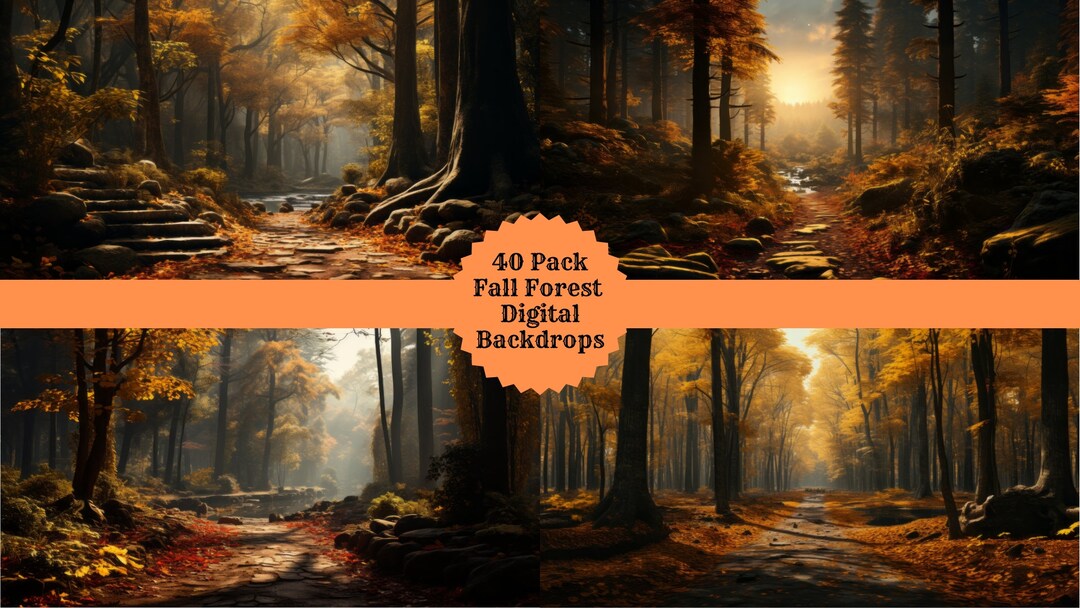Autumn Forest Backdrops Bundle: 40 High-resolution Fall Scenery ...