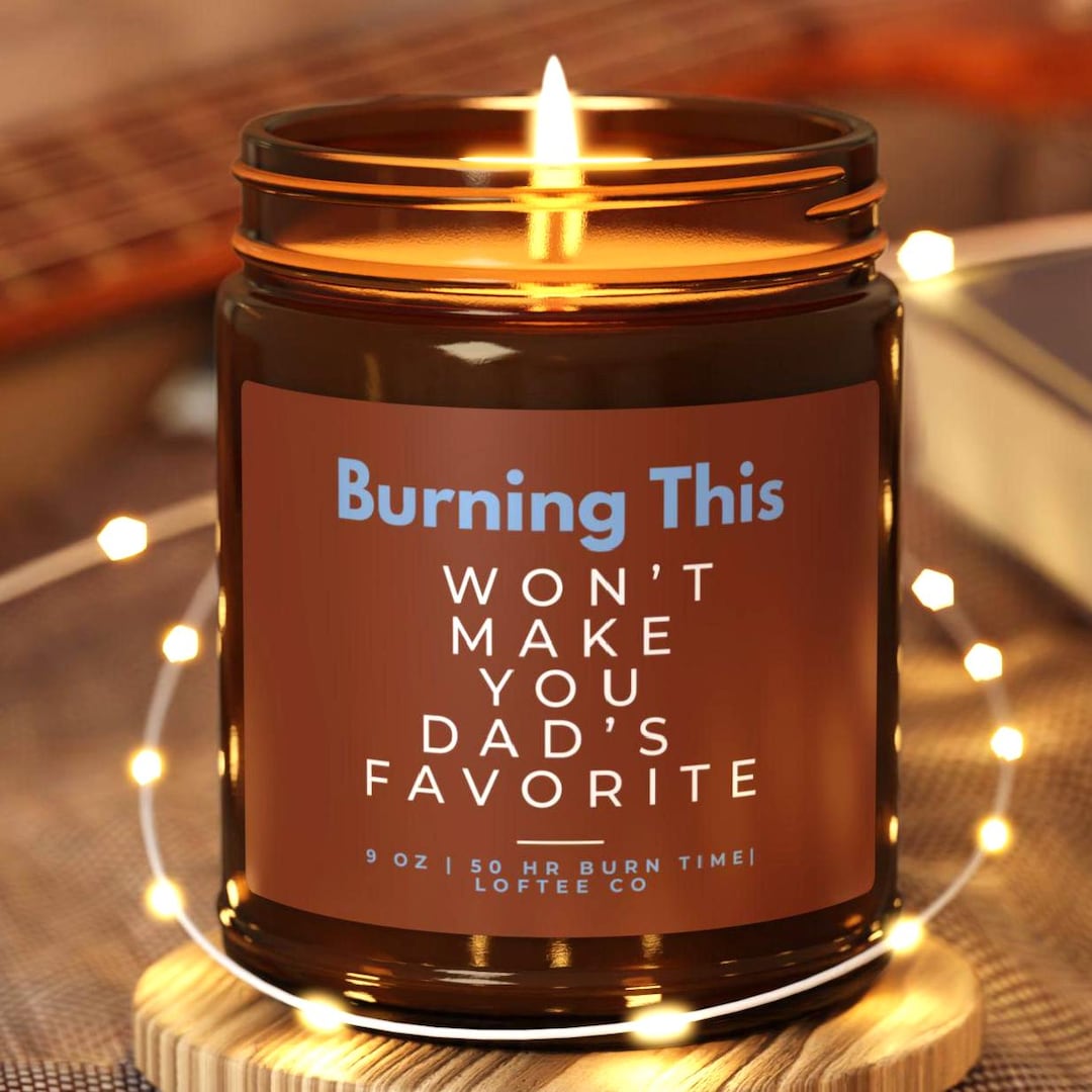 Burning This Wont Make You Dad's Favority, Funny Sarcastic Sibling ...
