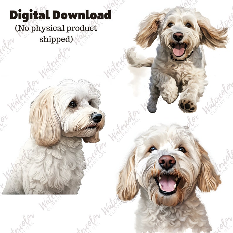 White Cockapoo Clipart Watercolor Bundle Dog Portrait Cockapoo PNG Junk ...