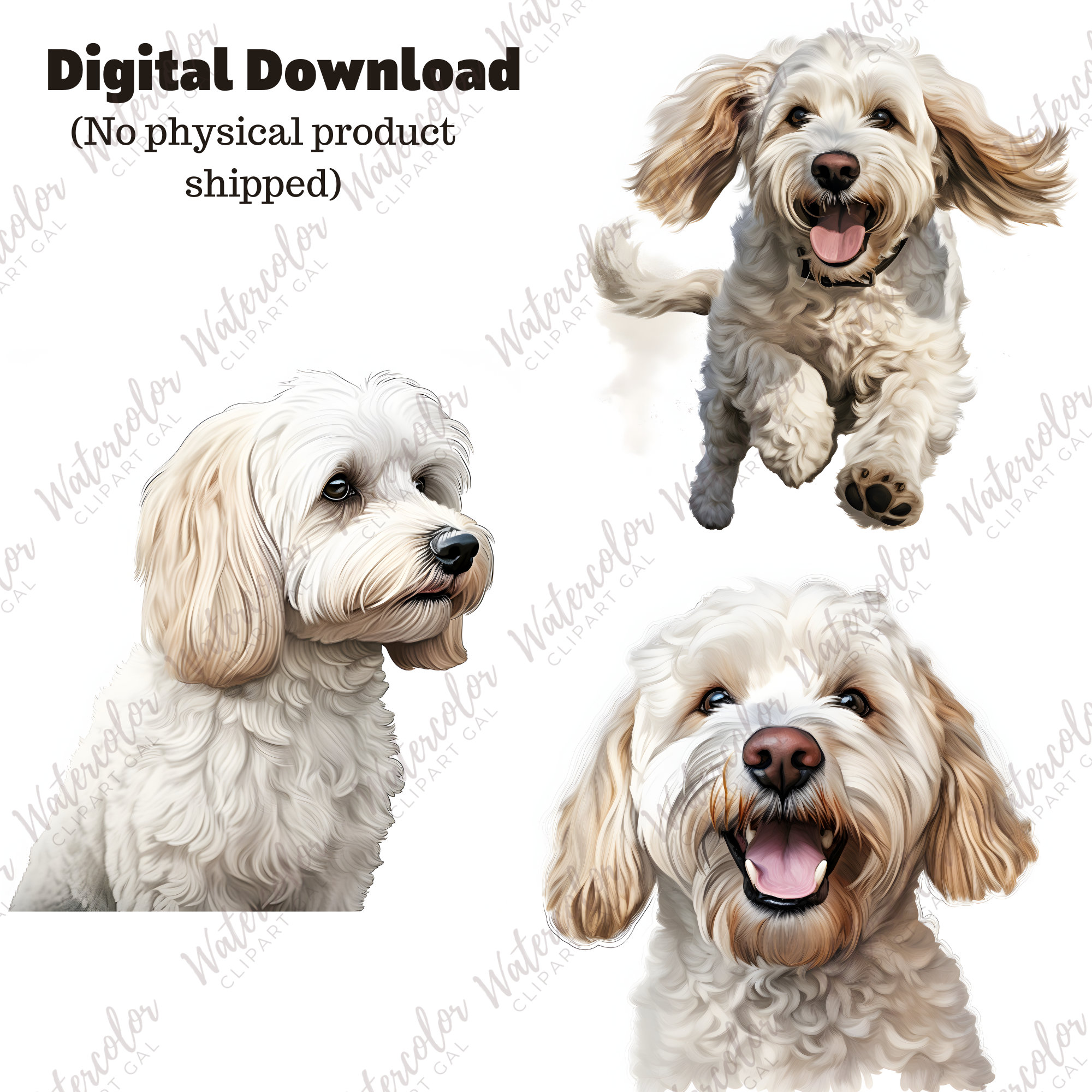 White Cockapoo Clipart Watercolor Bundle Dog Portrait Cockapoo PNG Junk ...