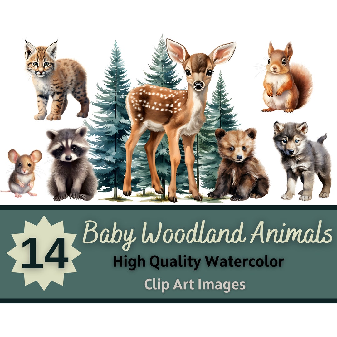 Baby Woodland Animals Clipart Watercolor Bundle | Woodland Nursery ...